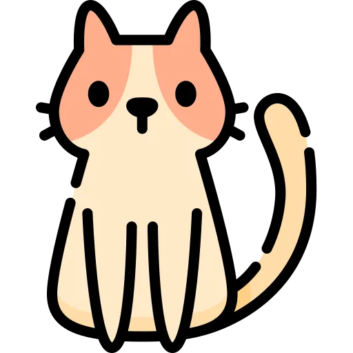 Cat | SY Bazzar